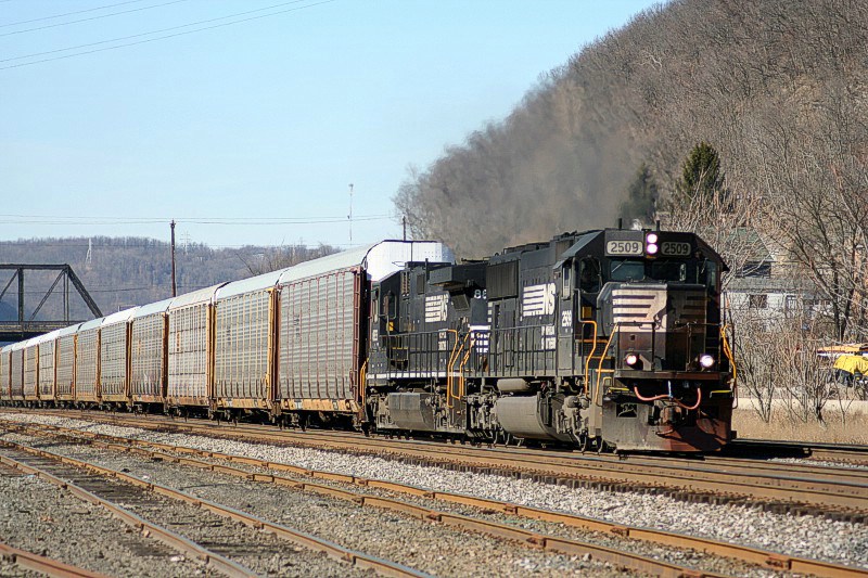 NS 2509